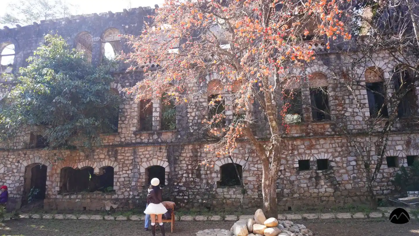 Ta Phin Ancient Monastery: Uncover History and Spiritual Calm