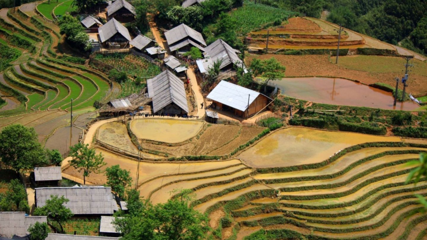 Sapa trekking in November: Unveil Fall's Tapestry of Colors