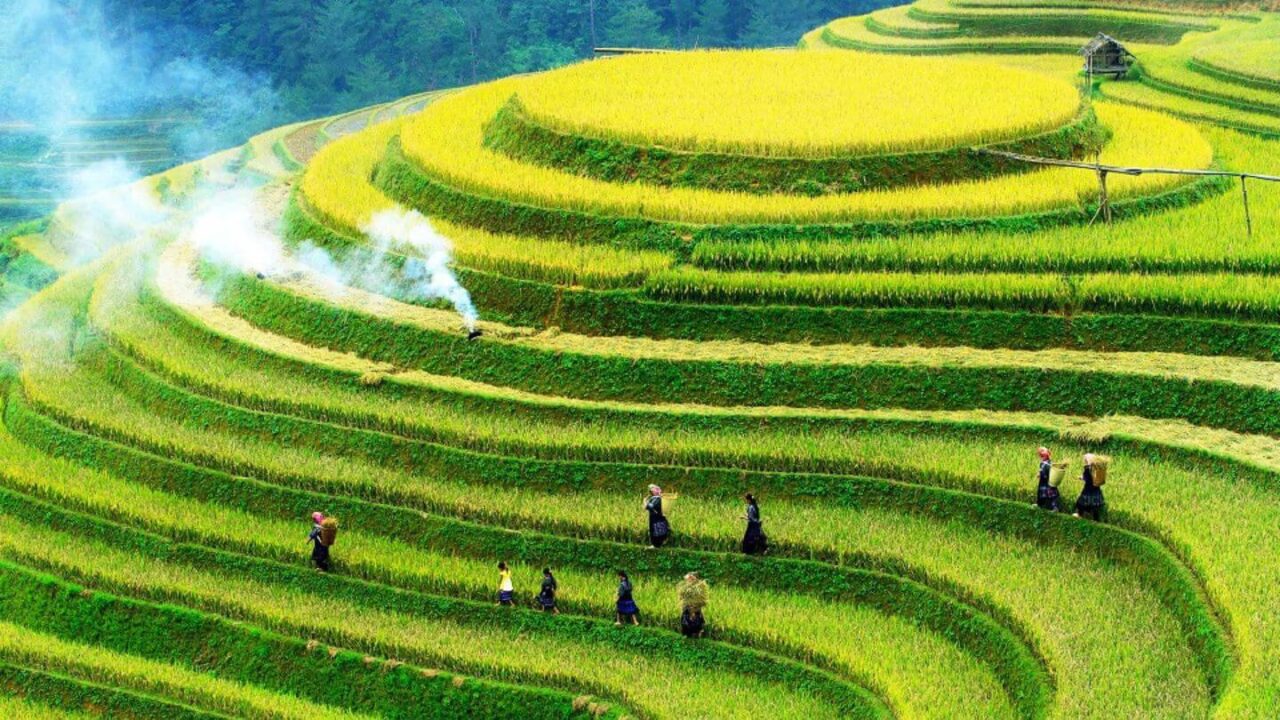 Nam Cang Village: Where Nature and Culture Thrive Together