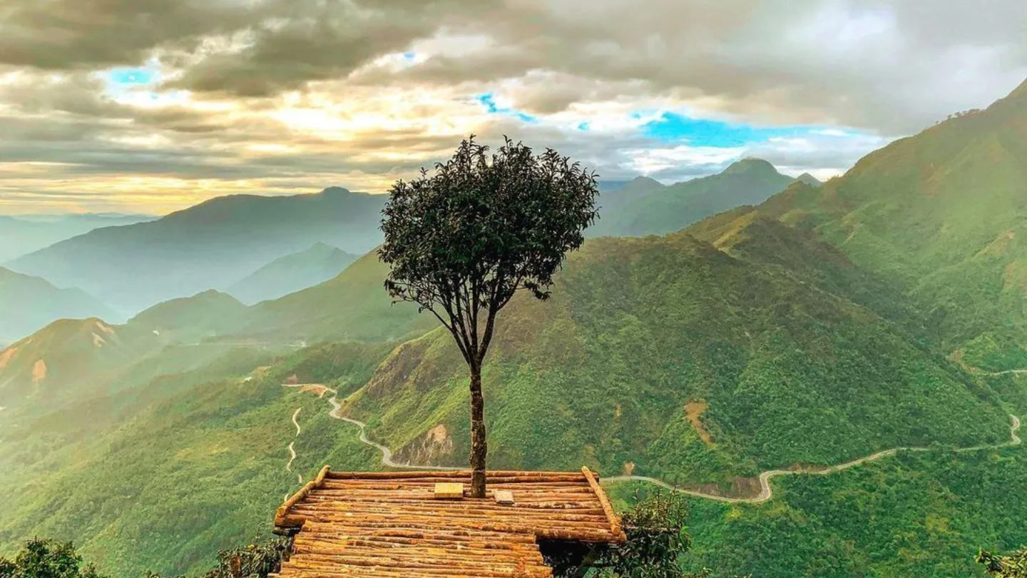 Lonely Tree Sapa: A Quiet Place That Feels Surprisingly Real